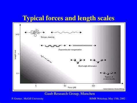 Ppt An Introduction To Atomic Force Microscopy Powerpoint Presentation Id 3600747