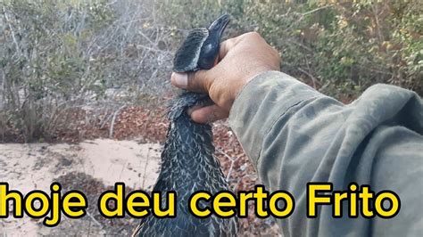 mais uma caçada de jacu YouTube
