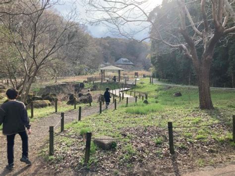 座間市の真ん中、県立座間谷戸山公園へ行ってきました。もうすぐ咲く桜と一緒に、里山で豊富な自然を満喫できるスポットです。 横浜・湘南で子供と