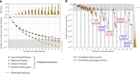Passenger Hotspot Mutations In Cancer Cancer Cell