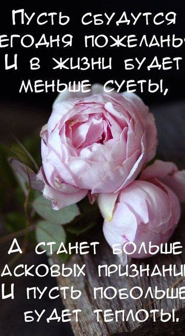 Вітання з Днем народження красиві привітання у віршах та прозі — Люкс