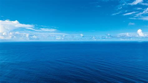 how sailors navigate using just the sun expert guide to celestial