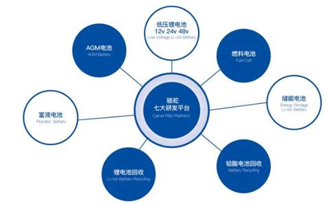 China Camel Group Co., Ltd. factory production line