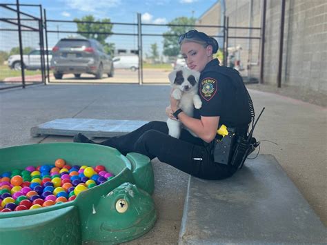 Paw Patrol How This Tarrant Sheriffs Deputy Saved Eight Puppies On A