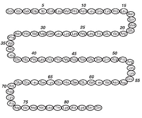 Parathyroid Hormone Structure