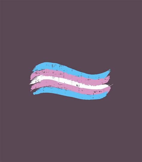 Trans Transgender Pride Flag Pro Lgbtq Cool Lgbt Ally Digital Art By