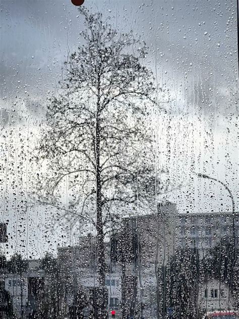 Rain Filled Days