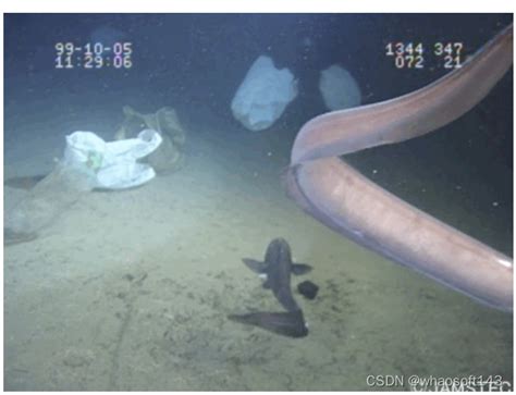 目标检测开源数据集汇总2开源目标检测数据集 Csdn博客