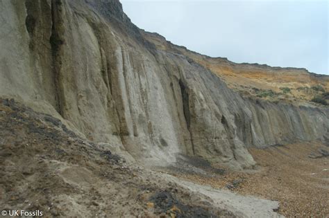 UK Fossil Collecting