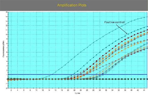 The Amplification Plot For Ehv 4 Qpcr With Different Threshold Cycles