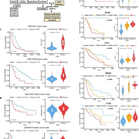 Immune Related Signaling Is Enriched In Glycolysis Associated Long