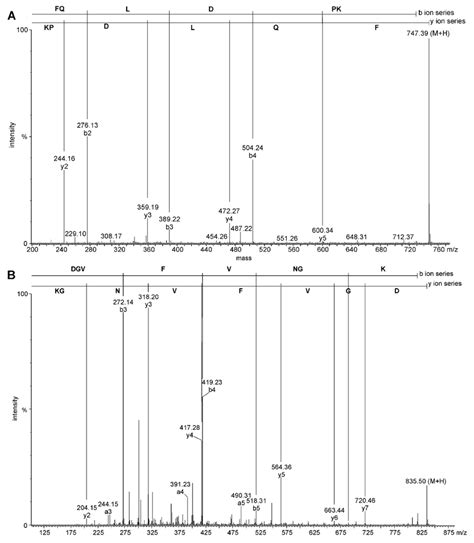 Msms Fragment Spectra Of Two Selected Peptides Of Cit S 1 A Fragment