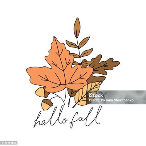 단풍과 도토리 손 글자 안녕하세요 가을 오크 단풍 나무 및 다른 나무의 잎 10월에 대한 스톡 벡터 아트 및 기타 이미지 10월 11월 가을 Istock