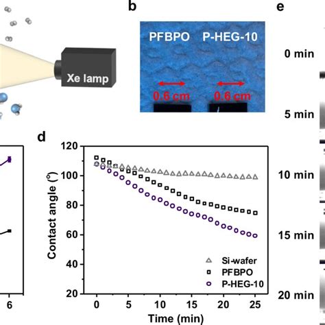 Photocatalytic Hydrogen Evolution Experiments In Film A Schematic Download Scientific Diagram