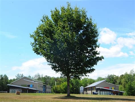 Unity Environmental University Sees Enrollment Grow As It Continues