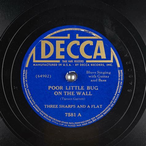 Poor Little Bug On The Wall Three Sharps And A Flat Free Download