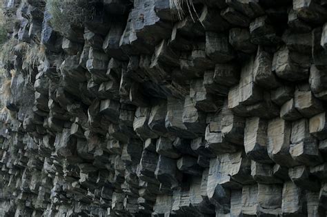 Premium Photo A Tree Is Growing On The Side Of A Cliff