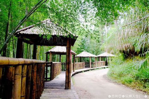 【雲林。古坑鄉】打卡私房景點『五元二角亭』這裡有著竹編而成的一座座涼亭，四周被孟宗竹林包圍著，有著一股濃濃日式風格，不愧為最近火紅的小小秘境啊