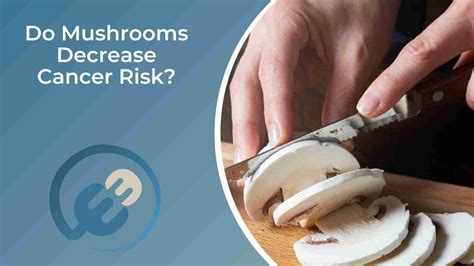 Do Mushrooms Really Decrease Cancer Risk — Eating Enlightenment
