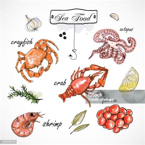 해산물 굴 게 새우 레몬 허브와 향신료와 수채화 세트 흰색 배경에 손으로 그린 개체 그룹에 대한 스톡 벡터 아트 및 기타 이미지 개체 그룹 게 게 해산물 Istock