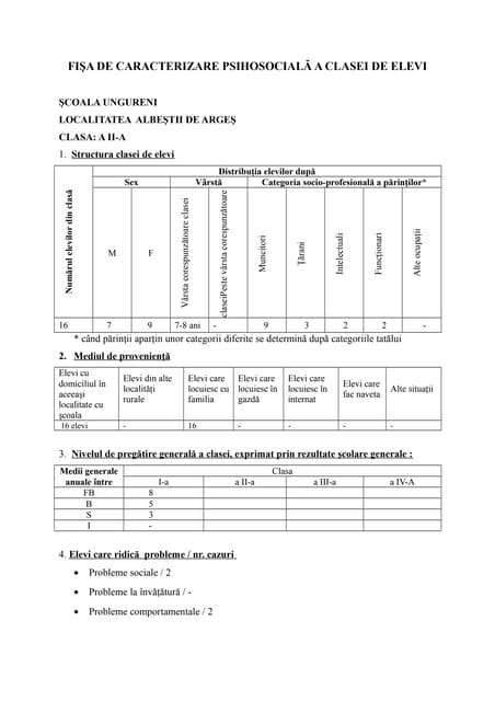 Fisa De Caracterizareaclasei Doc
