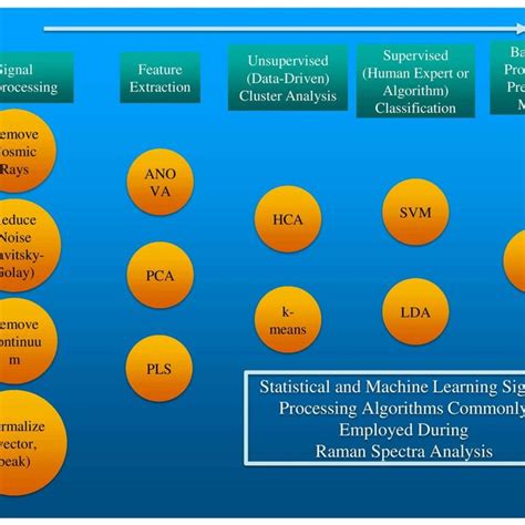 The Data Processing Steps Required For Robust Raman Spectral Analysis Download Scientific