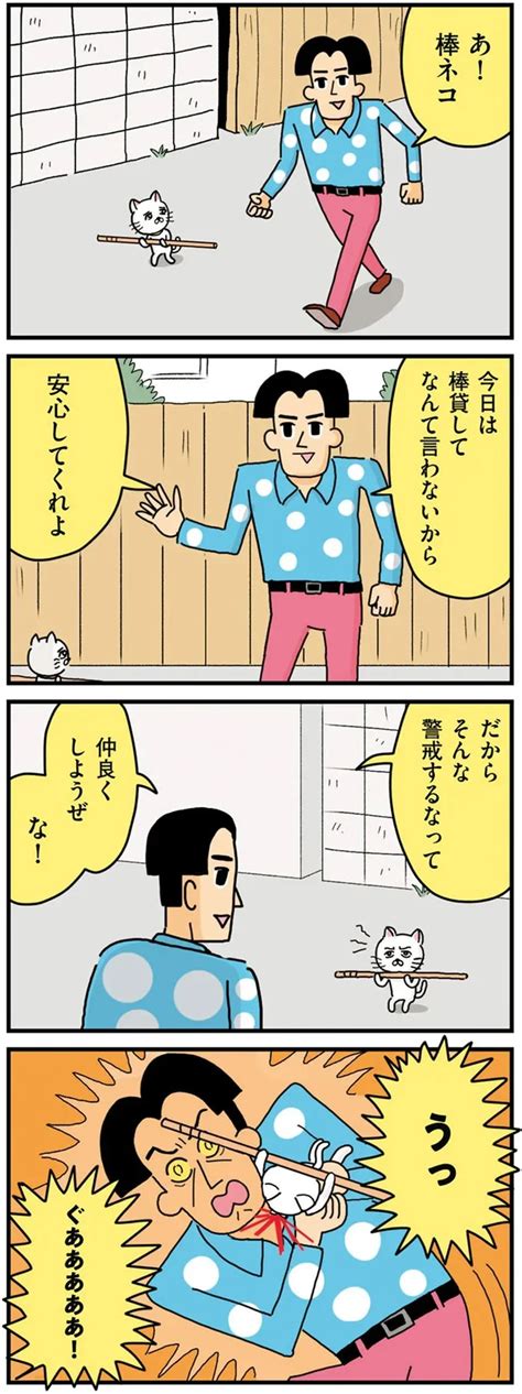 「新種発見！？」「ろくろ首みたい」ネコが見せた奇跡の姿に64万いいね（画像4378） レタスクラブ