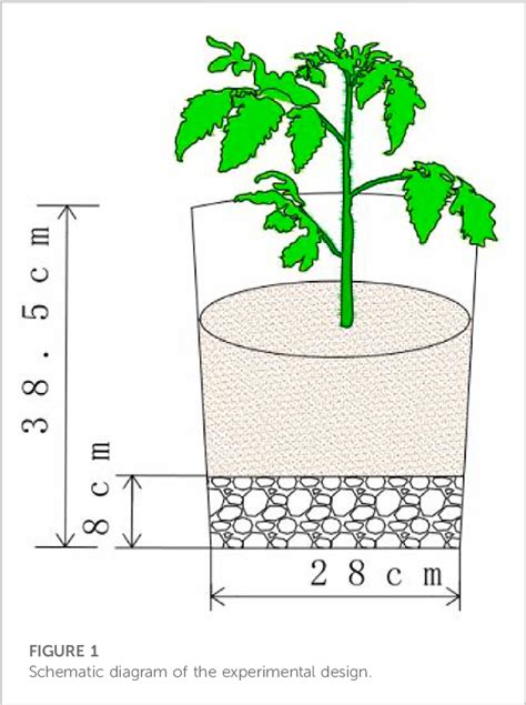 Table 1 From Effects Of Biochar And Vermicompost On Microorganisms And Enzymatic Activities In