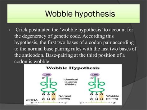 Geneticcode Ppt Pptx Programming Languages Computing