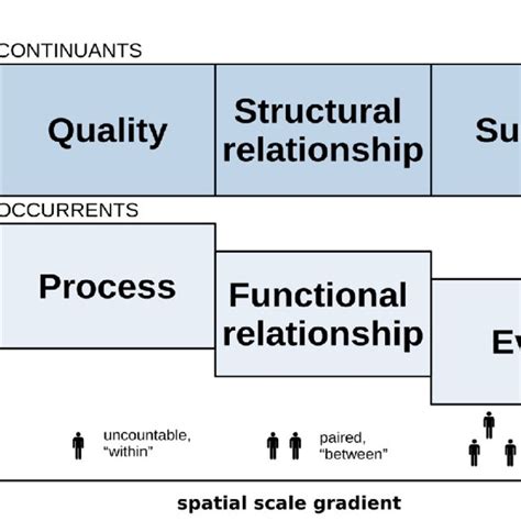 A Synthetic Representation Of How The Spatial And Temporal Dimensions