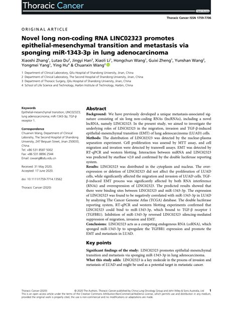 Pdf Novel Long Non Coding Rna Linc02323 Promotes Epithelial Mesenchymal Transition And
