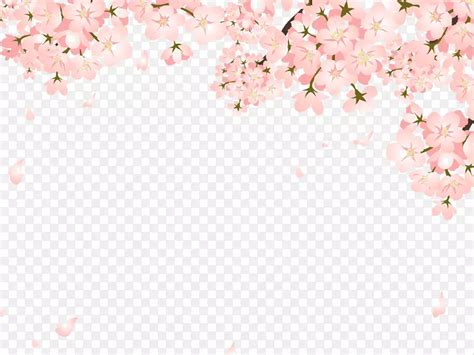 樱花无版权插图 美丽的桃花飘落PNG图片素材下载 图片编号1984 PNG素材网
