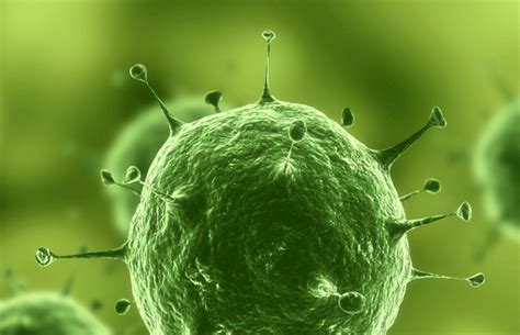 Detail Gambar Ciri Ciri Eubacteriaklasifikasi Eubacteria Koleksi Nomer 50