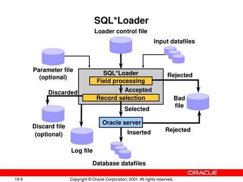 Ppt Loading Data Into A Database Powerpoint Presentation Free