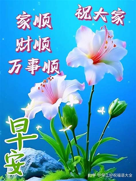 8月29日周二早上好好看祝福语图片大全 知乎