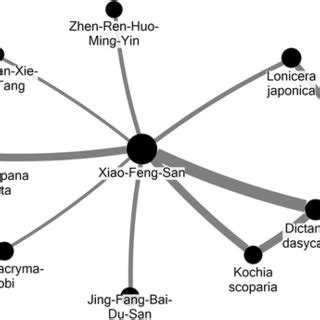 CHM Network Of Top Ten CHM Combinations For Pediatric Atopic Download Scientific Diagram