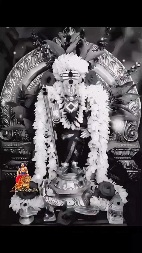 Kaiamalarvel On Twitter Rt Navaneethannj ☪️🕉️ ️ 🐓🦚 ஓம் முருகா