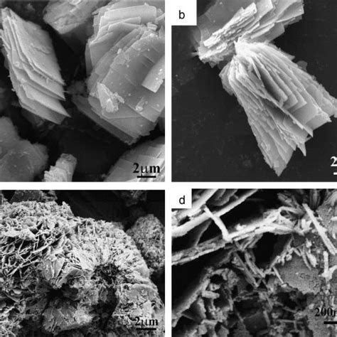 SEM Images Of The Calcined Materials A B Sample And C D Sample Download Scientific
