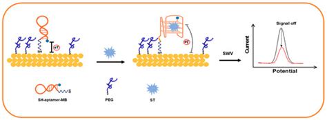 Biosensors Special Issue Current Challenges And Breakthroughs In Electrochemical Aptamer