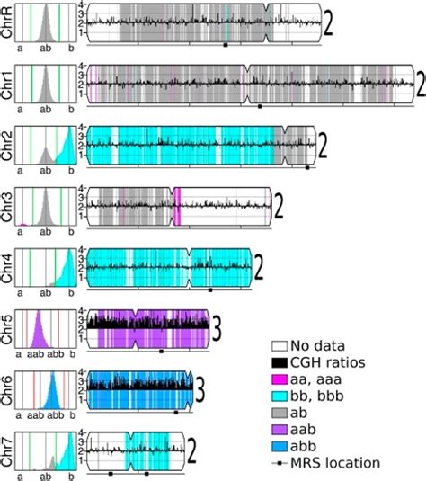 Visualization Of Snpcgh Array Data Data For Each Strain Analyzed By Snpcgh Array Was