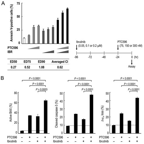 Ptc596 And Ibrutinib Cooperatively Induce Mitochondrial Apoptosis In Download Scientific