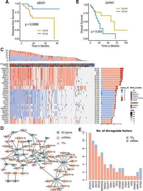 Construction Of Prognostic Related Transcriptional Dysregulation Download Scientific Diagram