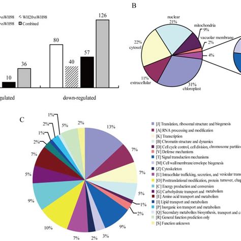 Differentially Expressed Proteins And Their Functional Classification