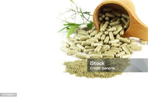 Andrographis Paniculata 캡슐과 신선한 잎에 약초가 흰색 배경에 누워 천연 허브 호흡기 질환과 감기에 대한