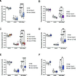 Long Term Memory Phenotyping Of Msi Phospho Mutants Negative