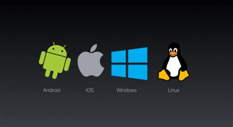 操作系统的主要功能包括 百度经验