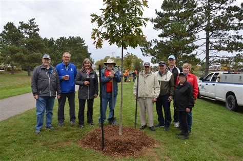 Rotary Tree Planting Rotary Club Of Welland