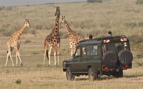 3 Days Akagera National Park Safari Akagera National Park Rwanda