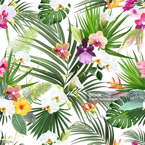 이국적인 열 대 꽃 난초 Strelitzia 히비스커스 Canna 칼라 백합 종려나무 Monstera 잎 벡터 완벽 한 패턴 꽃