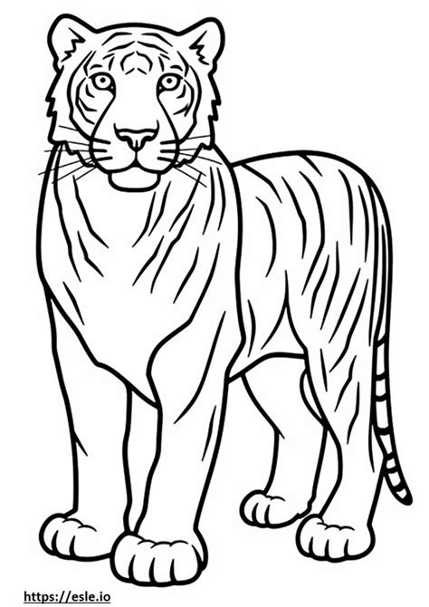 Page 2 Bengal Tiger